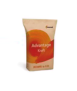 Extensible Sack Kraft Paper Mondi Group